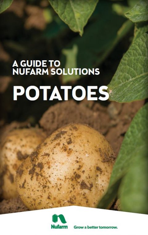 Nufarm provides season-long potato solutions - US - Crop