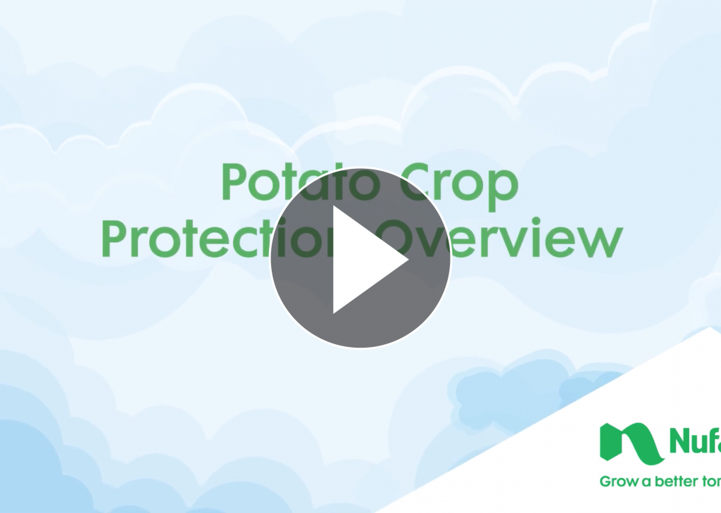 Nufarm provides season-long potato solutions - US Seed Treatment