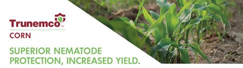 Corn Solutions - US - Crop