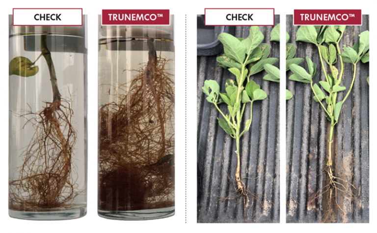 Soybean Seed Solutions - US Seed Treatment