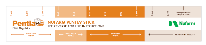 Pentia Stick - US - Crop