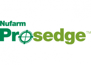 Prosedge® Selective Herbicide2 - US - Turf