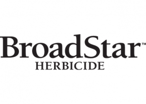 BroadStar™ - US - Turf