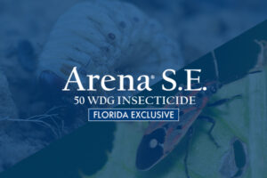 Arena 50 WDG - US - Turf