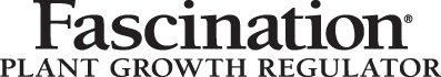 Fascination® - US - Turf