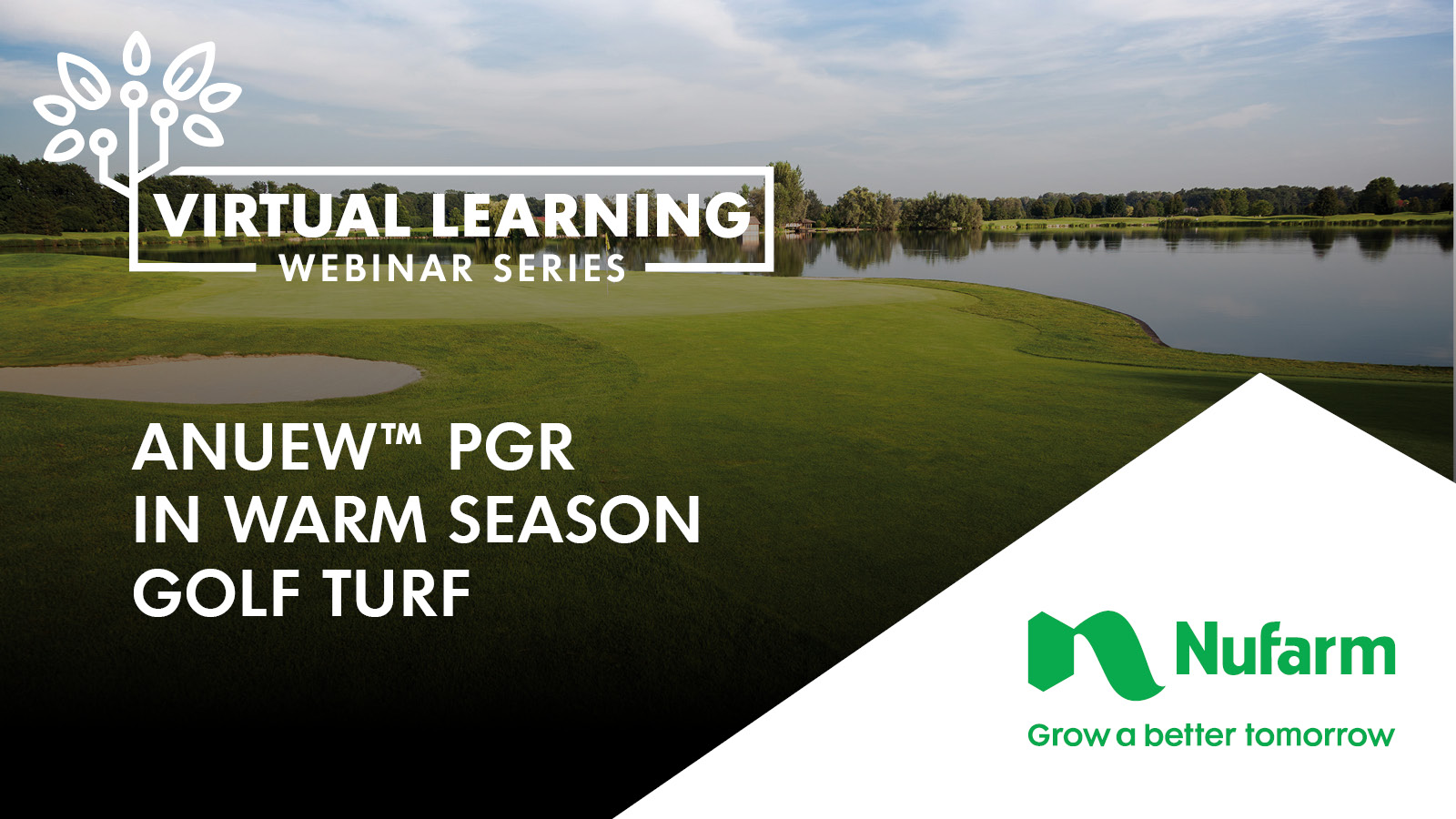 Virtual Learning - US - Turf