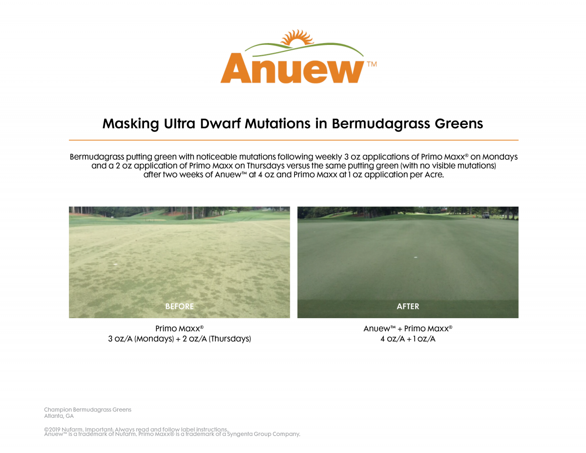 Anuew Training Experience - US - Turf