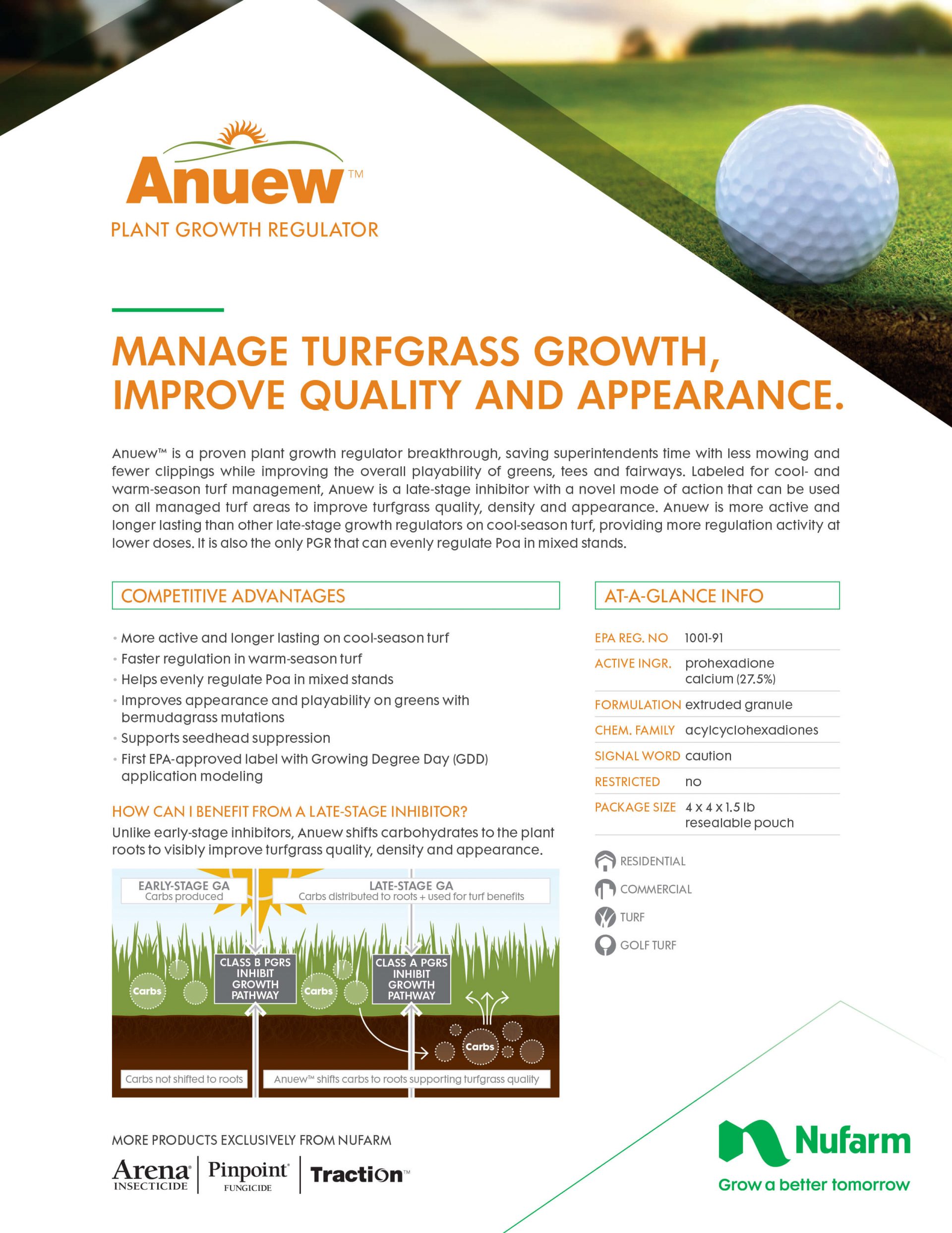 Anuew Training Experience - US - Turf