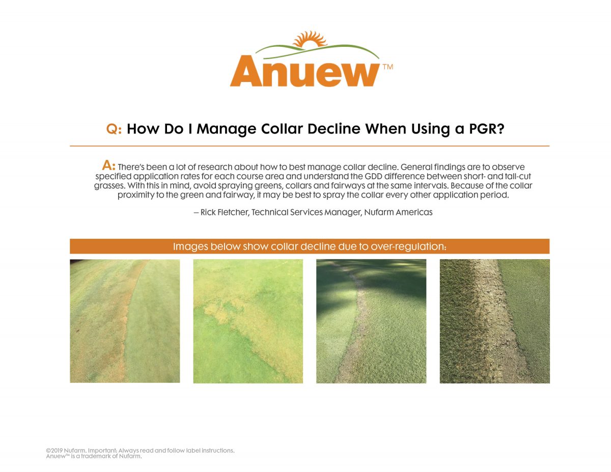Anuew Training Experience - US - Turf