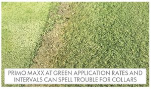 Anuew™ - US - Turf