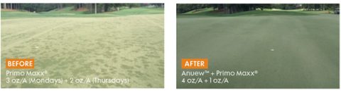 Anuew™ - US - Turf