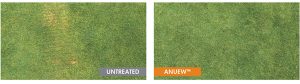 Anuew™ - US - Turf