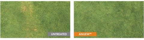 Anuew® EZ - US - Turf