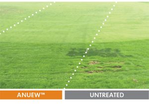 Anuew™ - US - Turf