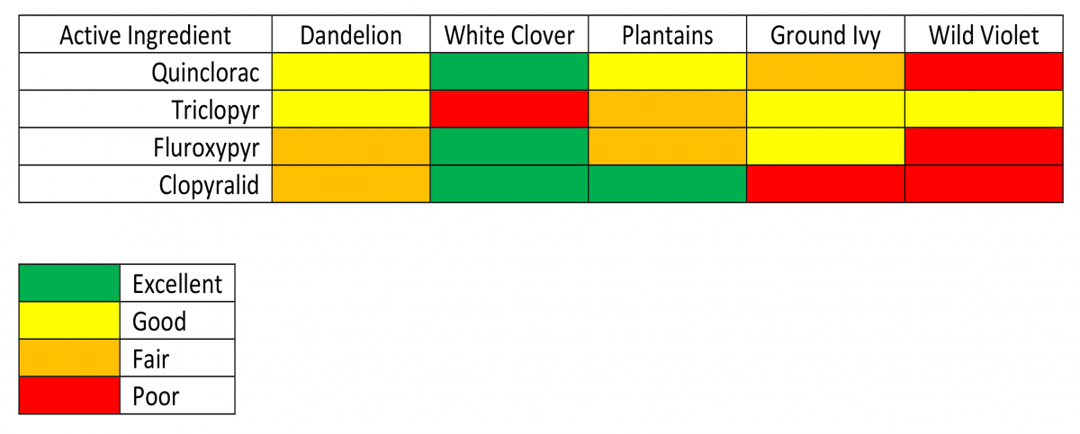 What Are Premium Herbicides? - US - Turf