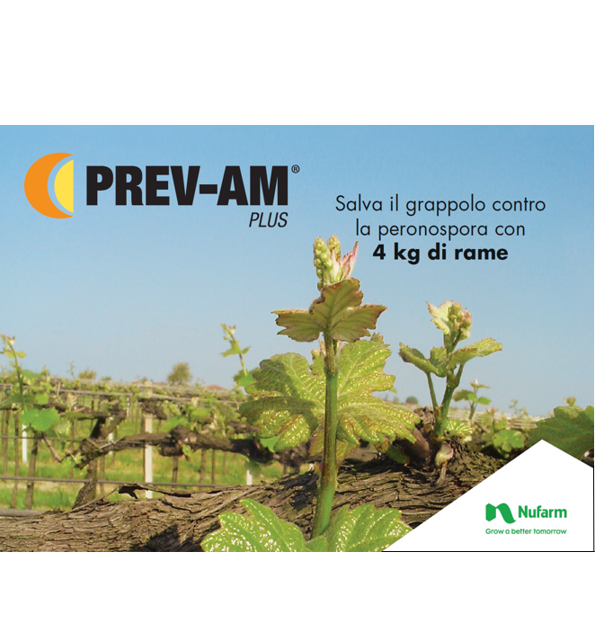 Prev-Am Plus: l'arma vincente che protegge la vite - Nufarm Italy