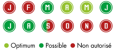 Novertex mecoprop-p dichlorprop-p MCPA hericide systémique gazons