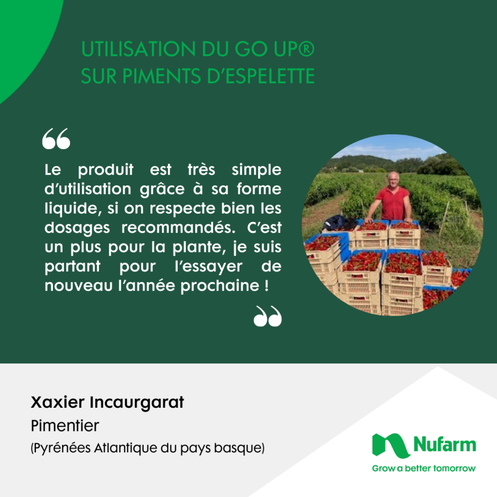 Go up® : le véritable stimulateur de croissance