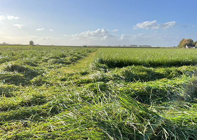 Aandacht voor grasland in de wintermaanden - Nufarm Belgium