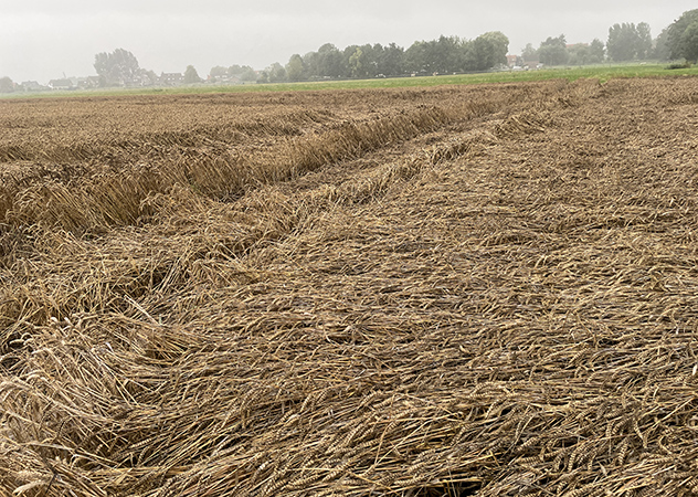 Zaaien en oogsten in 2023 - Nufarm Belgium
