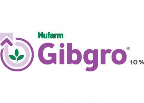 Gibgro 10% SP - Nufarm Mexico