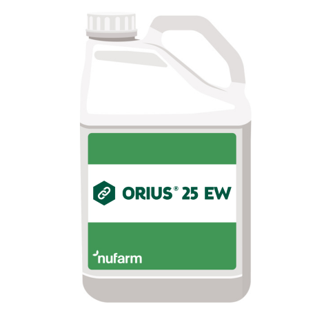 Orius 25 EW - fungicid sistemic grau, rapita, tomate, vita de vie