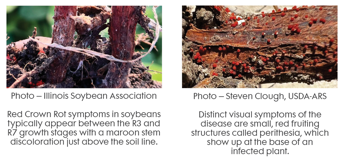 Pretium™ SDS - US Seed Treatment