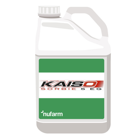 Kaiso Sorbie - insecticid din grupa piretroizilor premium
